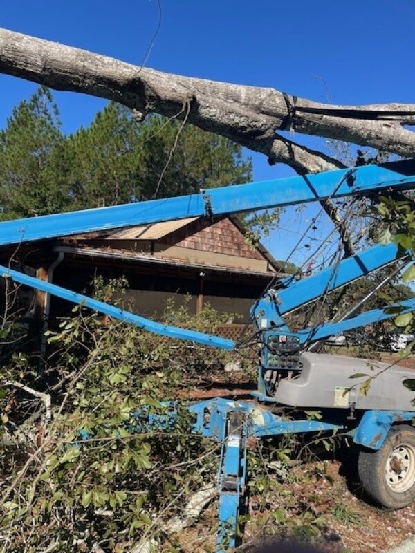 [Auction]: 2015 Genie TZ-50 Boom Lift | CAG