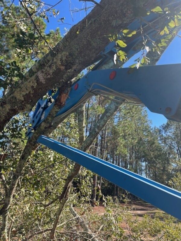 [Auction]: 2015 Genie TZ-50 Boom Lift | CAG