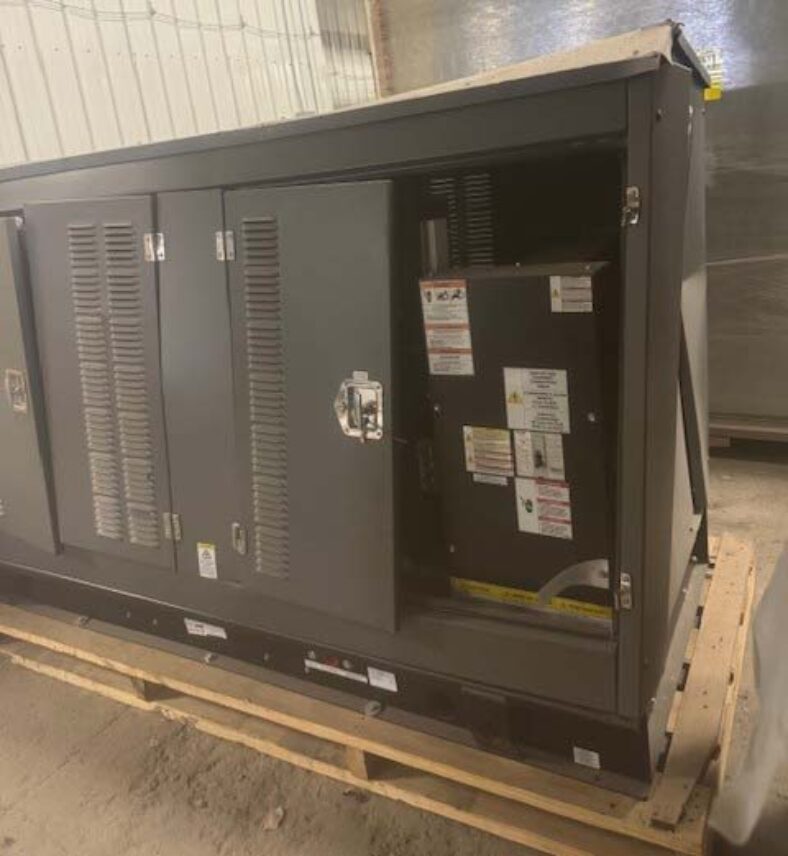 [Auction]: Generac Generator | VIN: 3016664677 | damaged | CAG