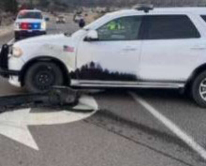 [Auction]: 2020 Dodge Durango Police Vehicle | VIN: 1C4SDJFT5LC309759 ...