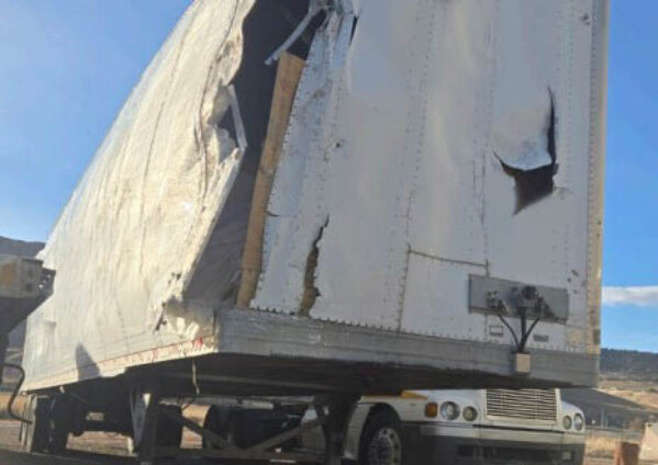 [Auction]: 2018 Hyundai Dry Van Trailer | VIN: 3H3V532CXJR455135 ...